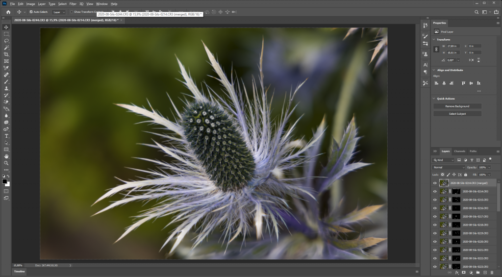 Focus Stacking with Canon EOS R5 and R6 - G-U Neukamp photography