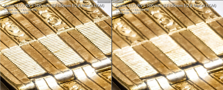 Focus Stacking mit der Canon EOS R5 (oder R6) - Einstellungen - G-U ...